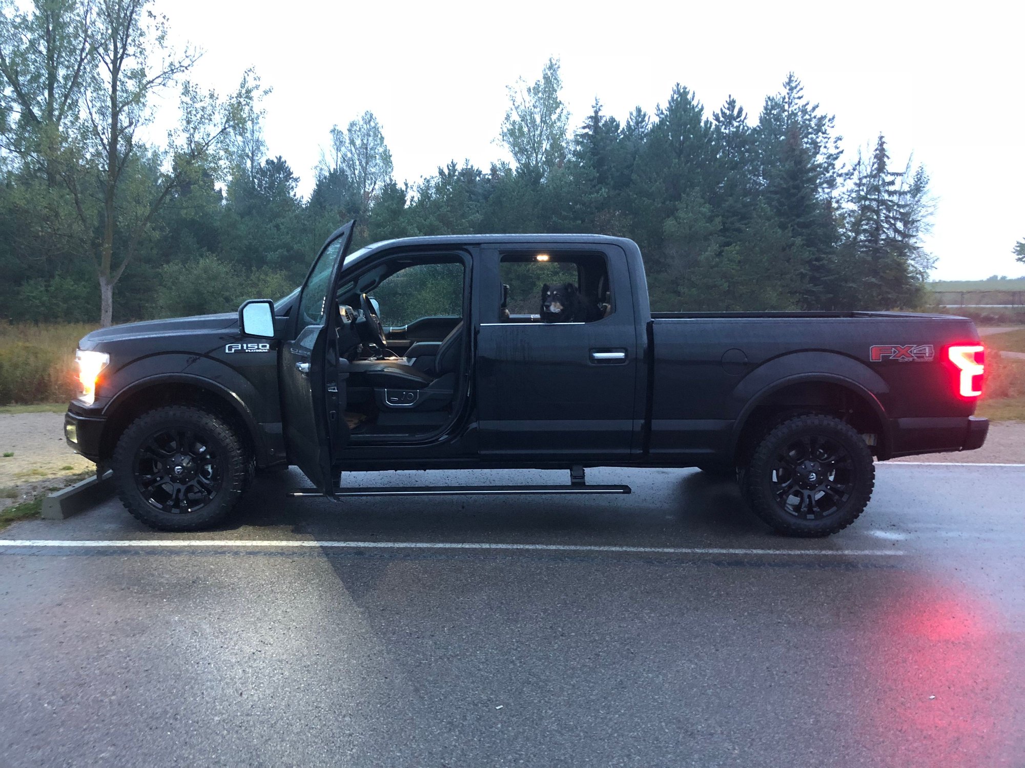 The official 2018 thread. Let's see em! - Page 14 - Ford F150 Forum ...