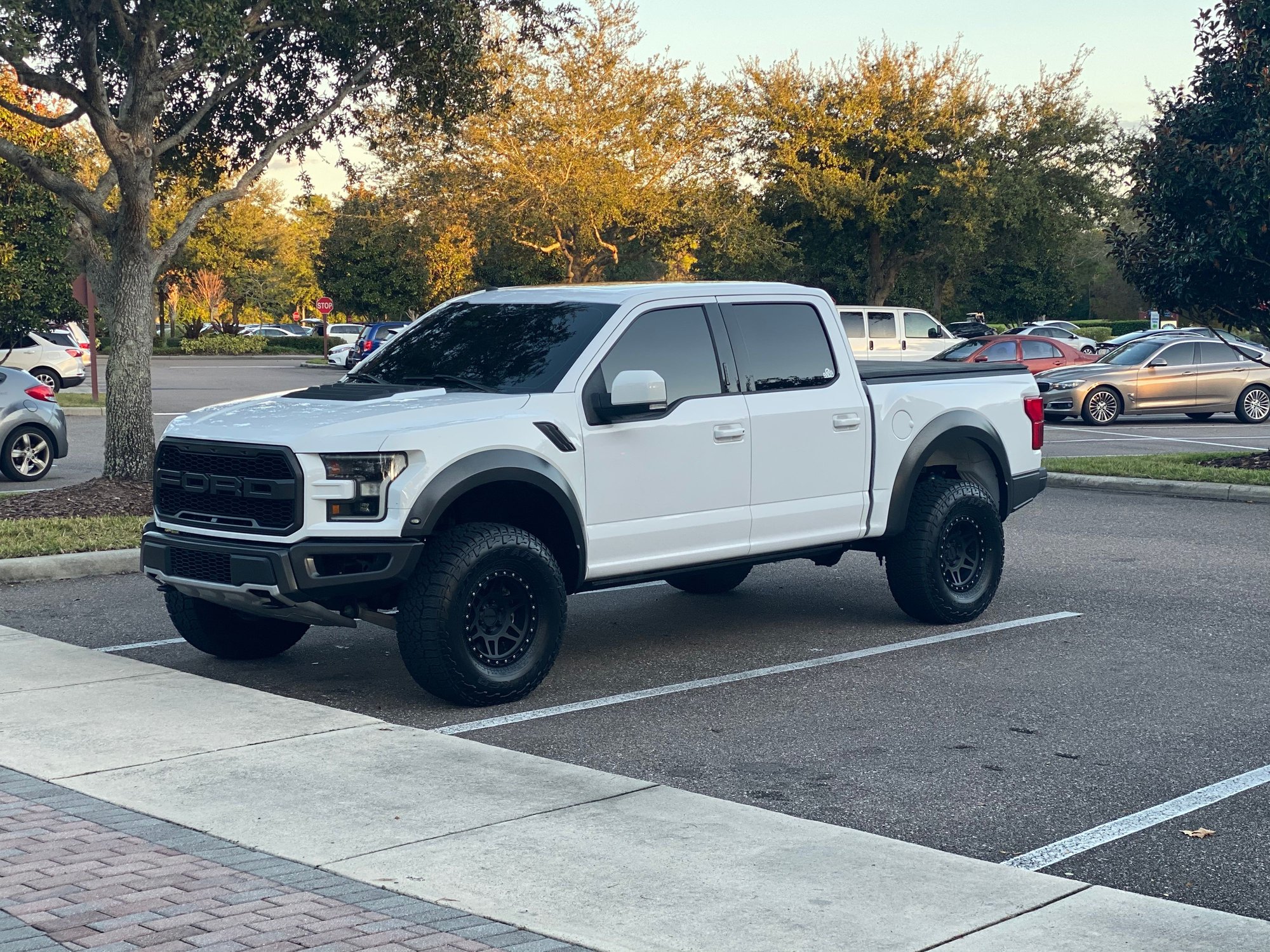 2016 F-150 raptor conversion - Ford F150 Forum - Community of Ford ...
