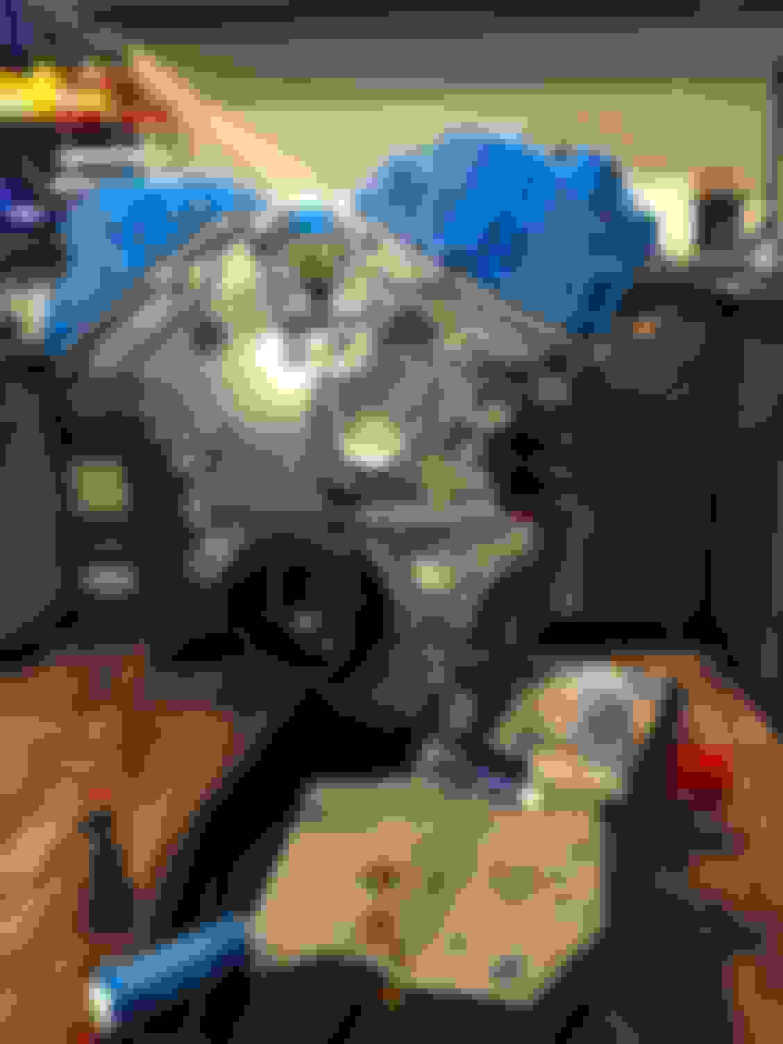 Sleipnir's FURD BURD - Ford F150 Forum - Community of Ford Truck Fans