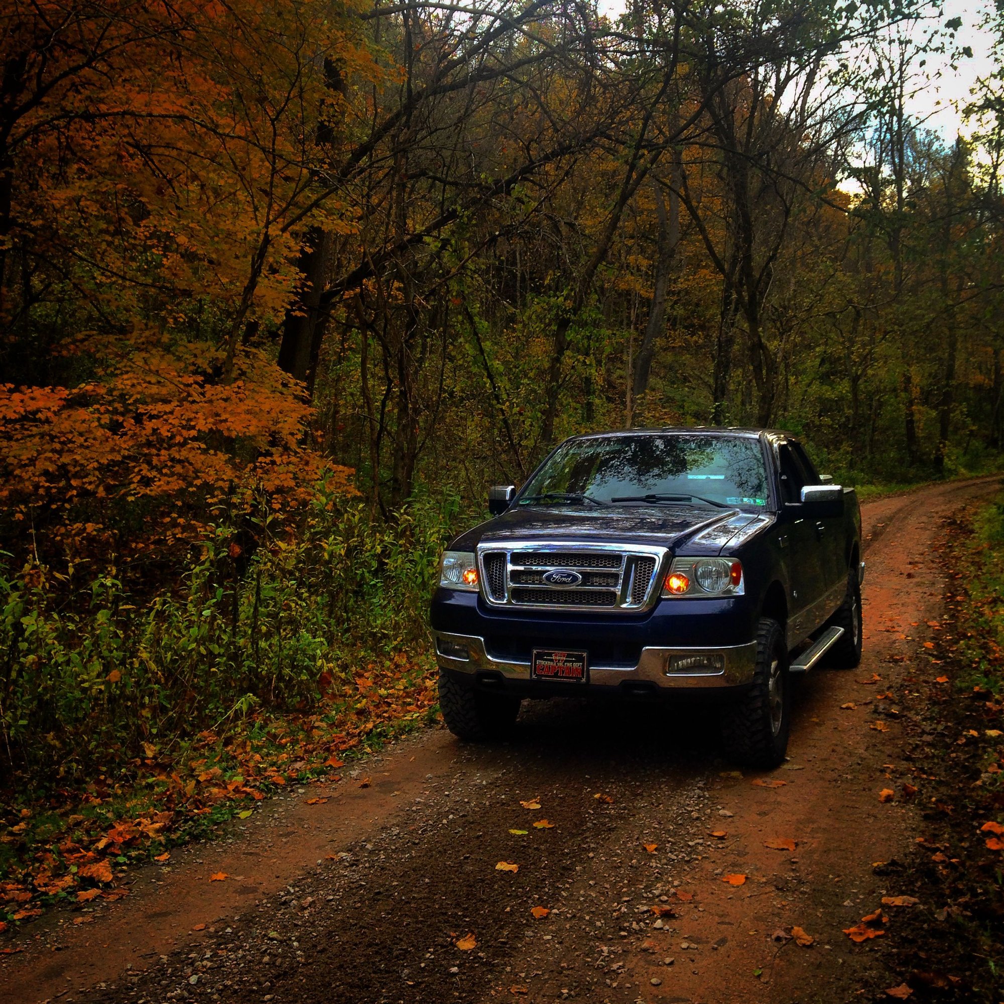 Trucks in Fall - Ford F150 Forum - Community of Ford Truck Fans