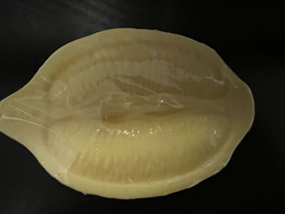 Endless jet set and glamour - or just a few fill-ins? - Page 6 ...