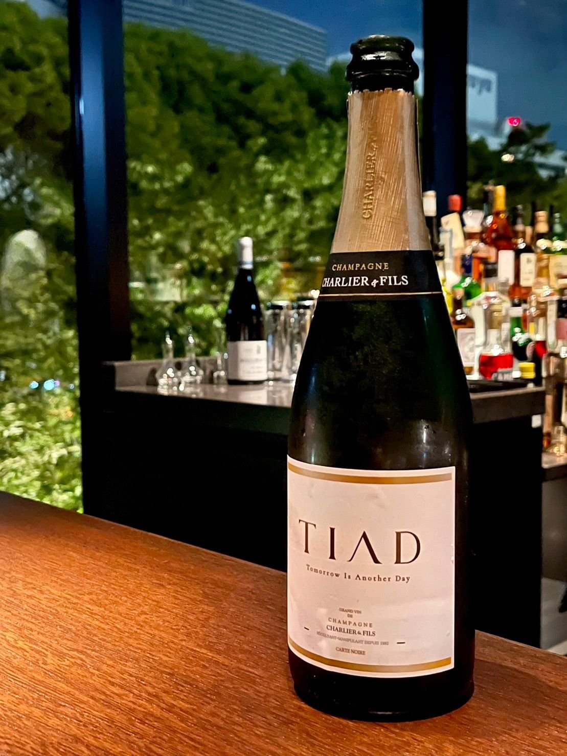 TIAD Autograph Collection, Nagoya, Japan [Master Thread] - FlyerTalk Forums