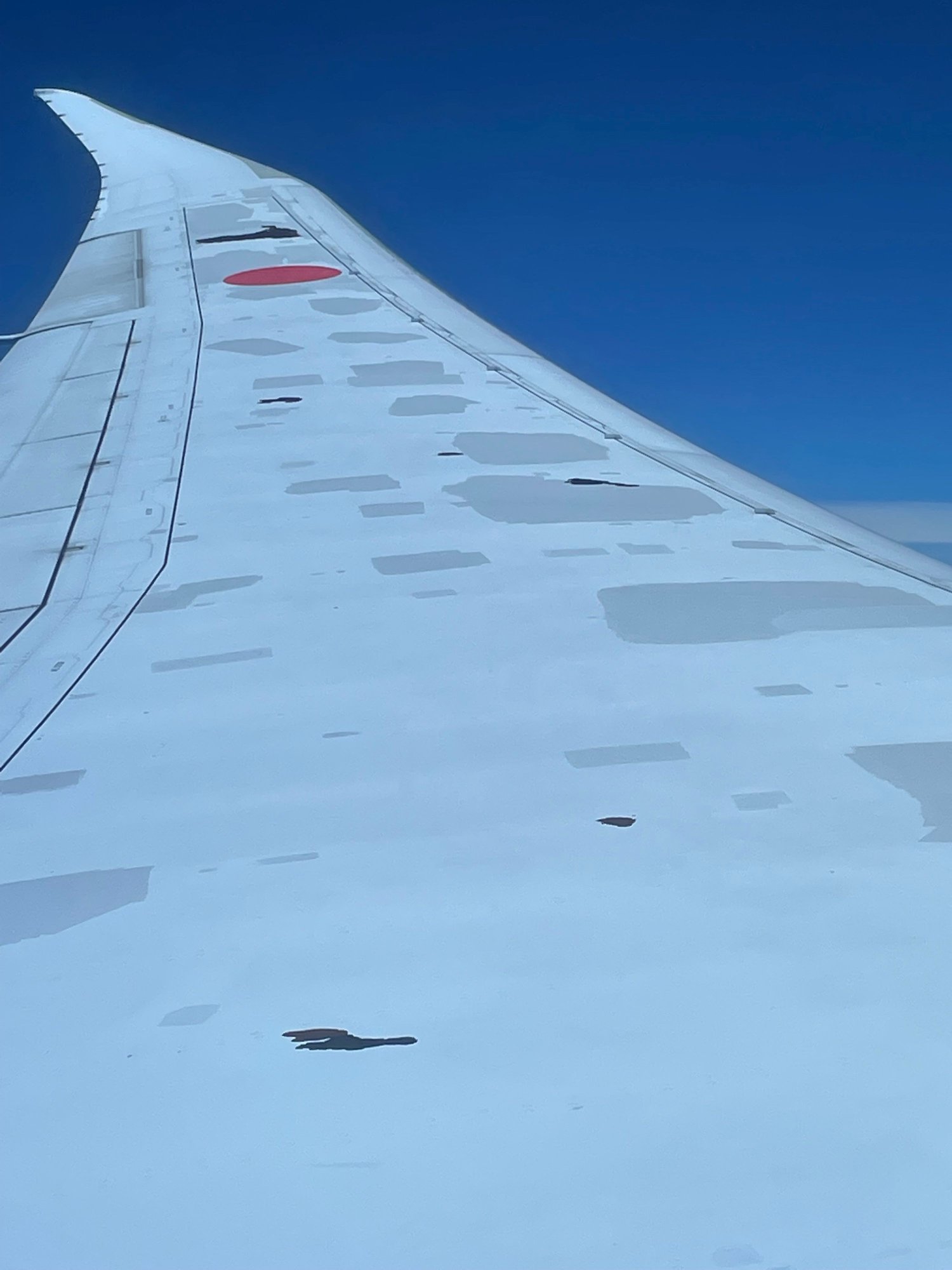 What's with the 787's battle scarred wings? - FlyerTalk Forums