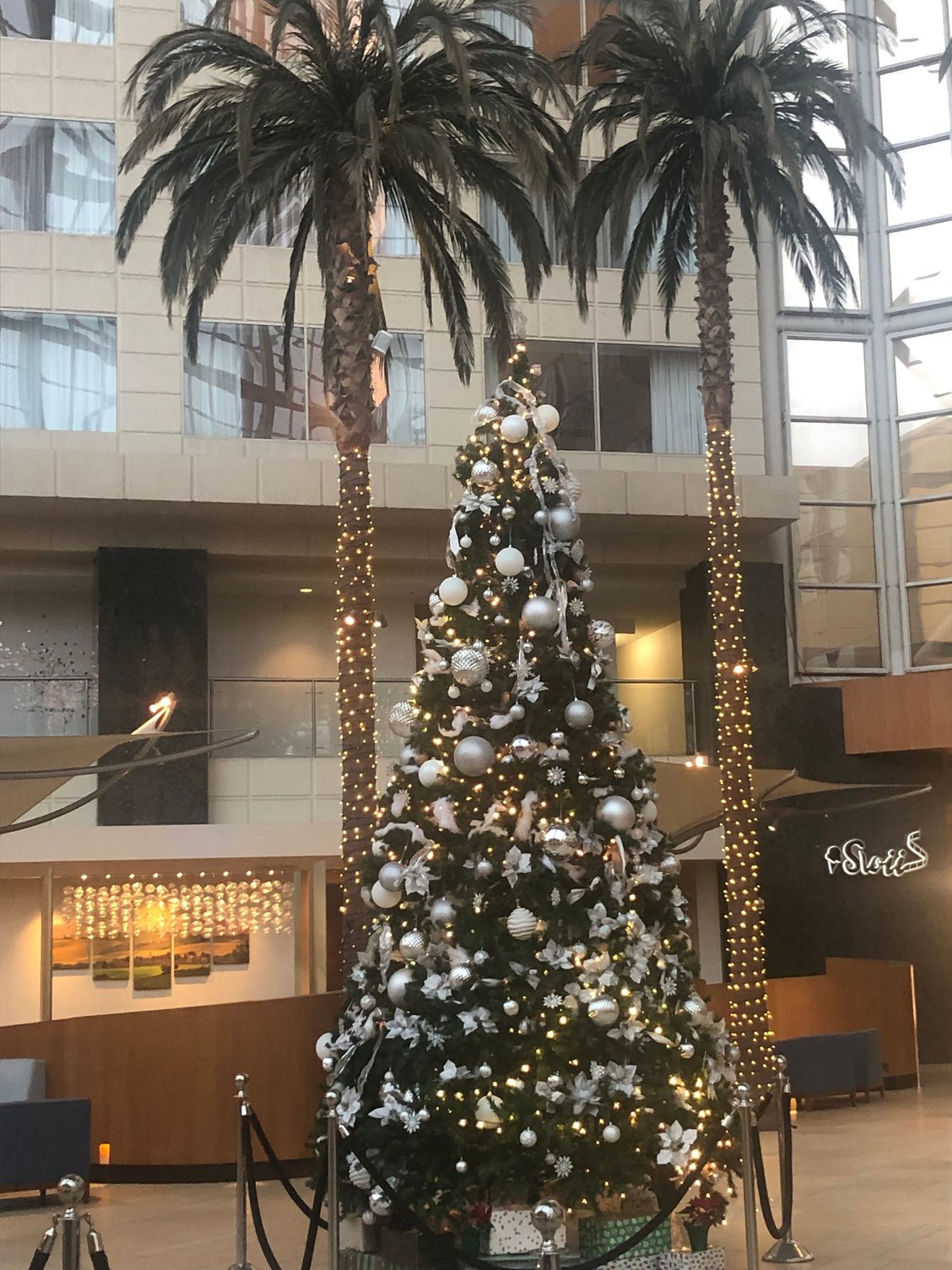 Post your Hyatt Christmas tree - Page 3 - FlyerTalk Forums