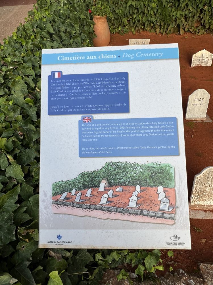 Endless jet set and glamour - or just a few fill-ins? - Page 4 ...