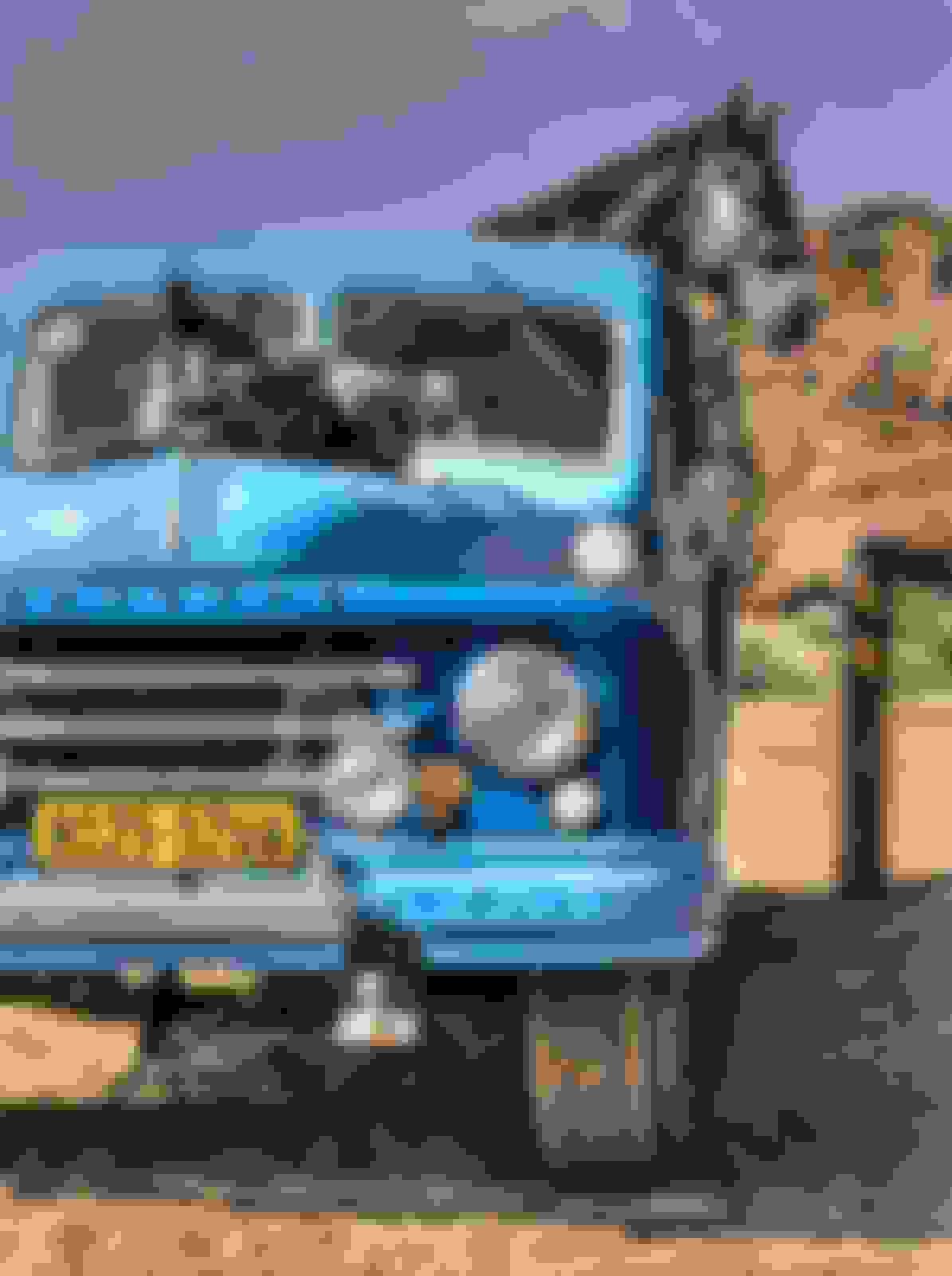 All things Dogs & Cats! - Page 432 - Ford Truck Enthusiasts Forums