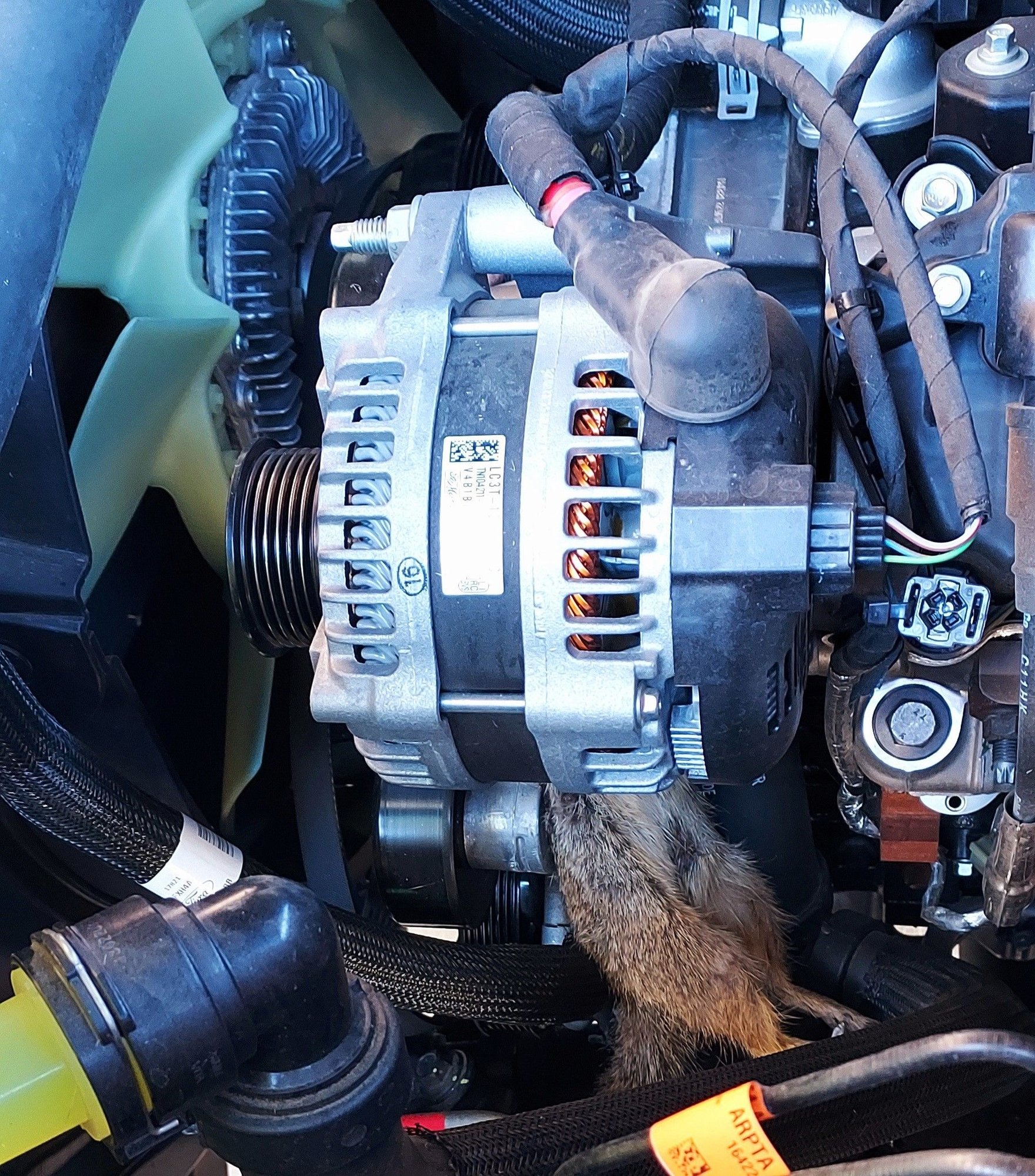 7.3l Gas enginer serpentine belt removal - Ford Truck Enthusiasts Forums