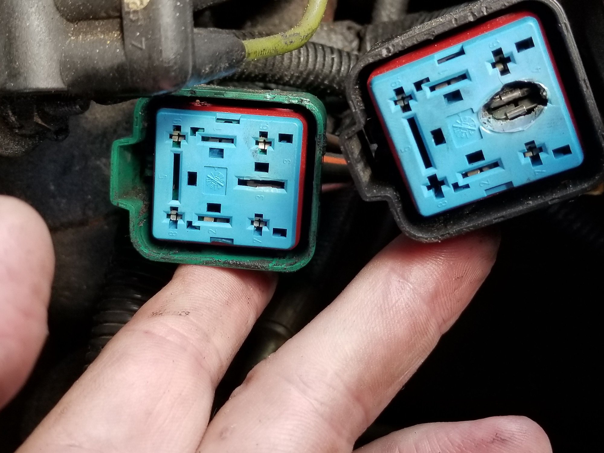 Glow plug module - Ford Truck Enthusiasts Forums