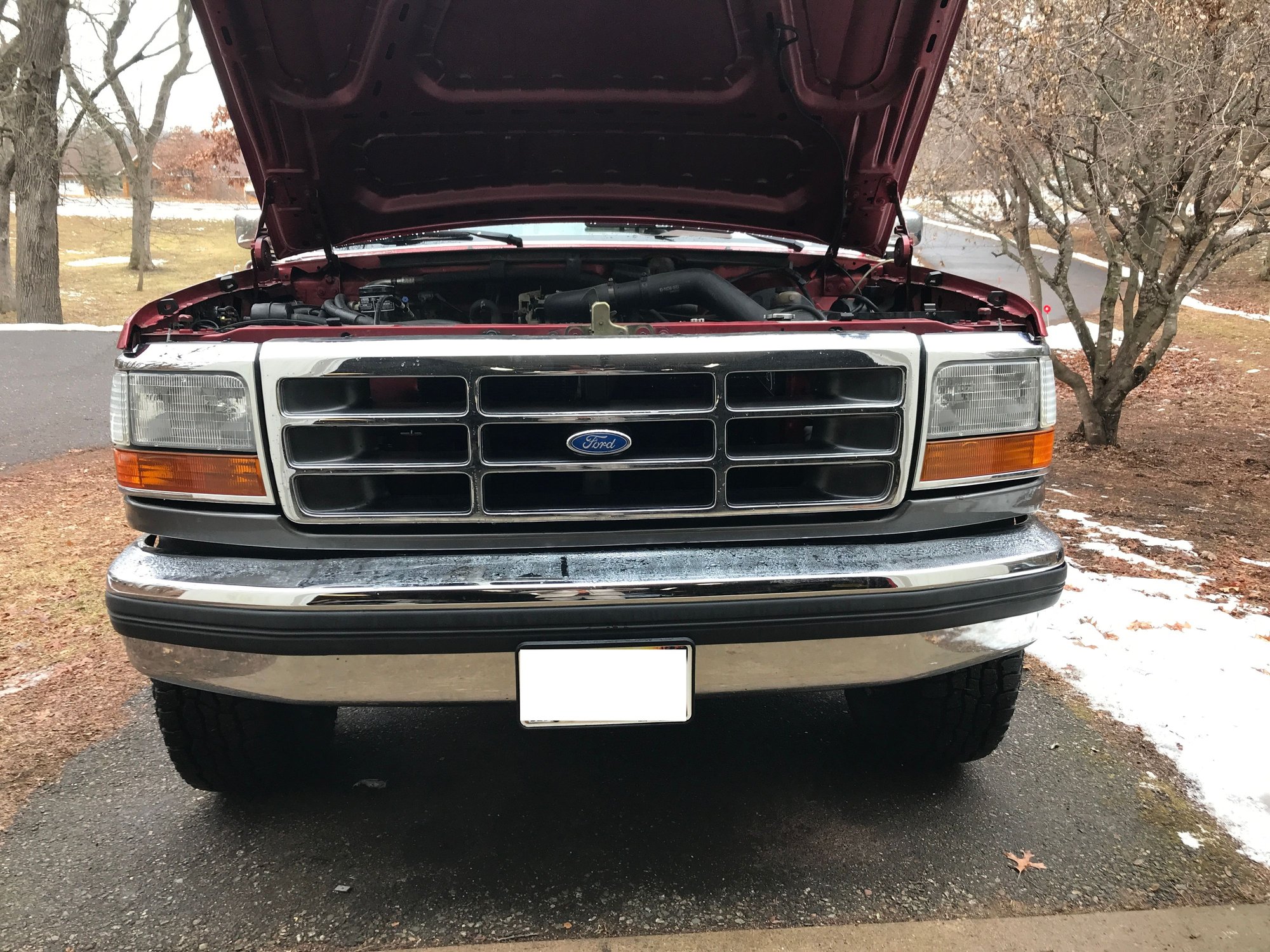 Looking for hood/bug deflector recommendations, please. - Ford Truck ...