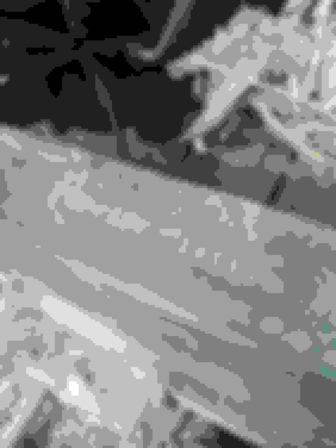 VIN missing 2 digits??? - Ford Truck Enthusiasts Forums