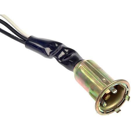 Rusty front park/signal light sockets - Ford Truck Enthusiasts Forums