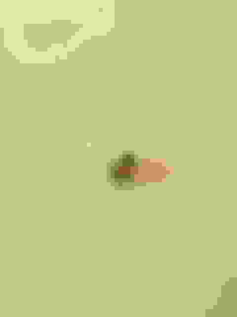 Rivets for Vent Windows - Ford Truck Enthusiasts Forums