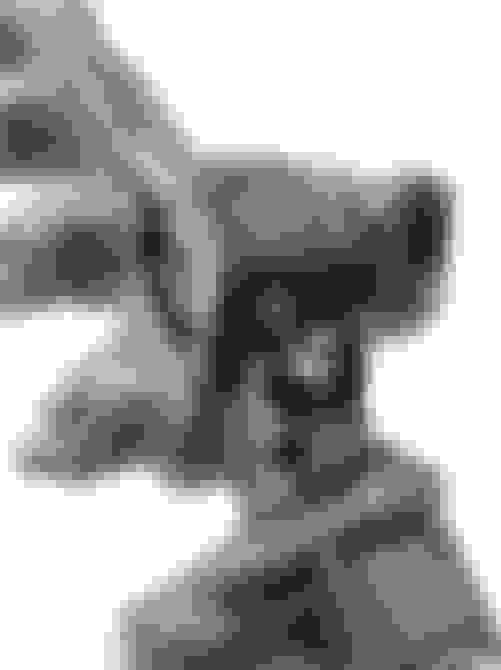 1979 Ford F100 300 I6 won’t idle - Ford Truck Enthusiasts Forums