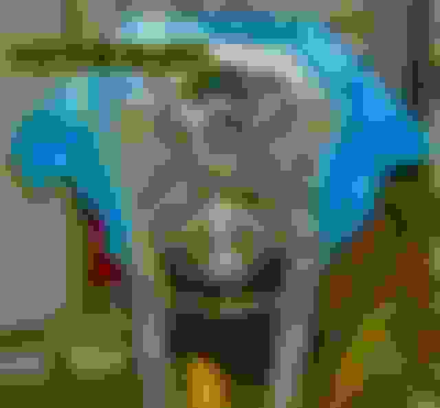 Double dipstick? - Ford Truck Enthusiasts Forums