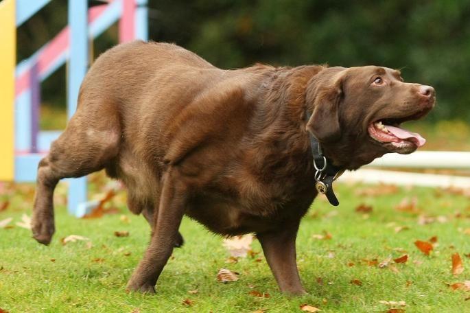 BANG !! USA BIRTHDAY CHAT THREAD FOR JULY - Page 8 - Ford Truck ...