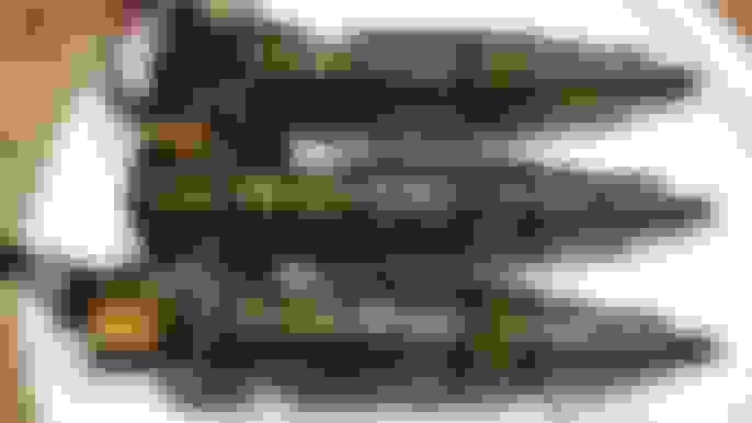 Injector pictures - screens destroyed - Ford Truck Enthusiasts Forums