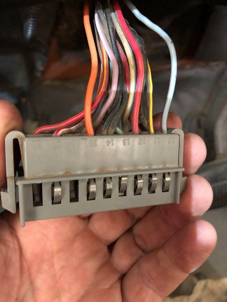 Whats the difference between late clusters and early clusters? - Ford ...