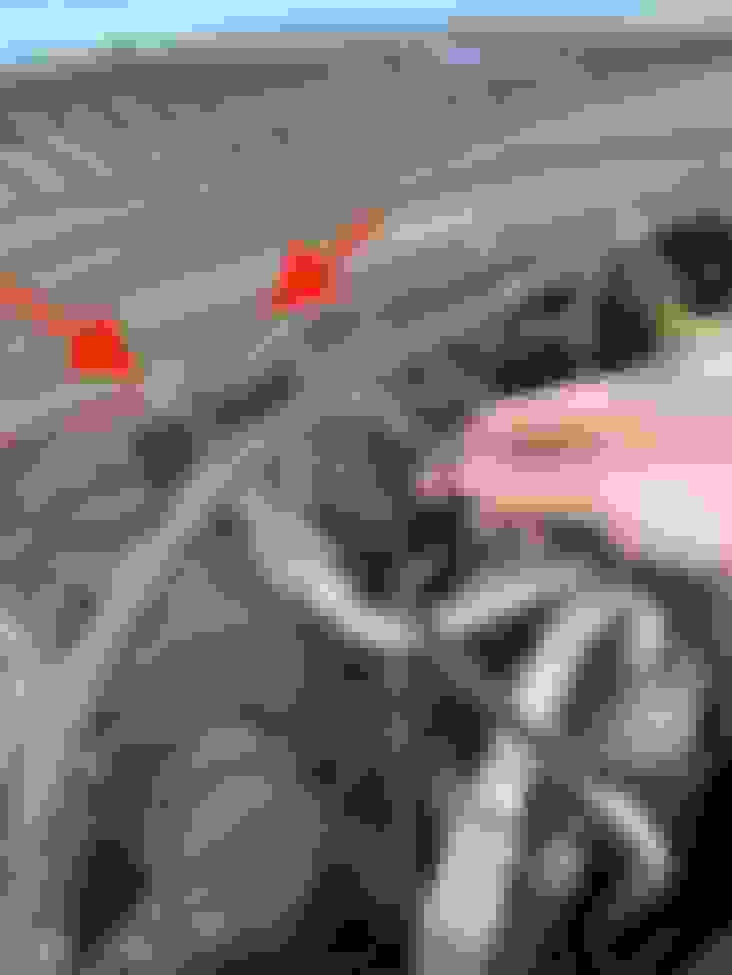 Catastrophic engine failure? - Page 8 - Ford Truck Enthusiasts Forums