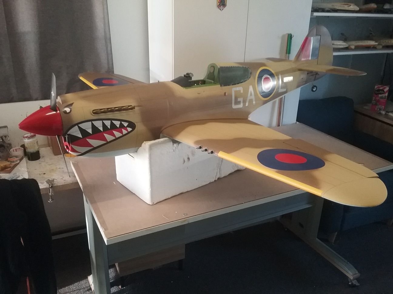 P-40 Brotherhood (All P-40's Welcome) - Page 69 - RCU Forums