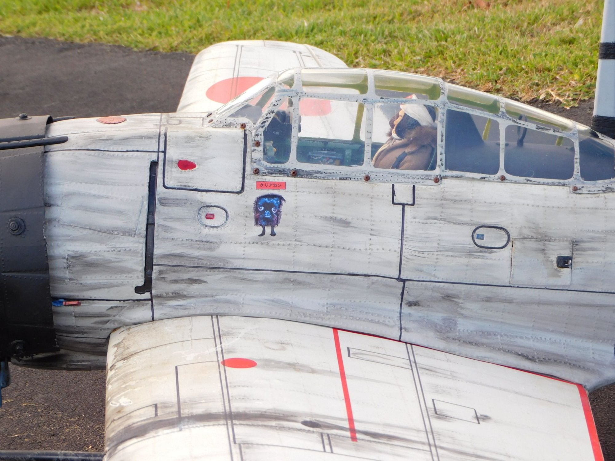 REfurbishing a ESM A6M2 Zero - RCU Forums