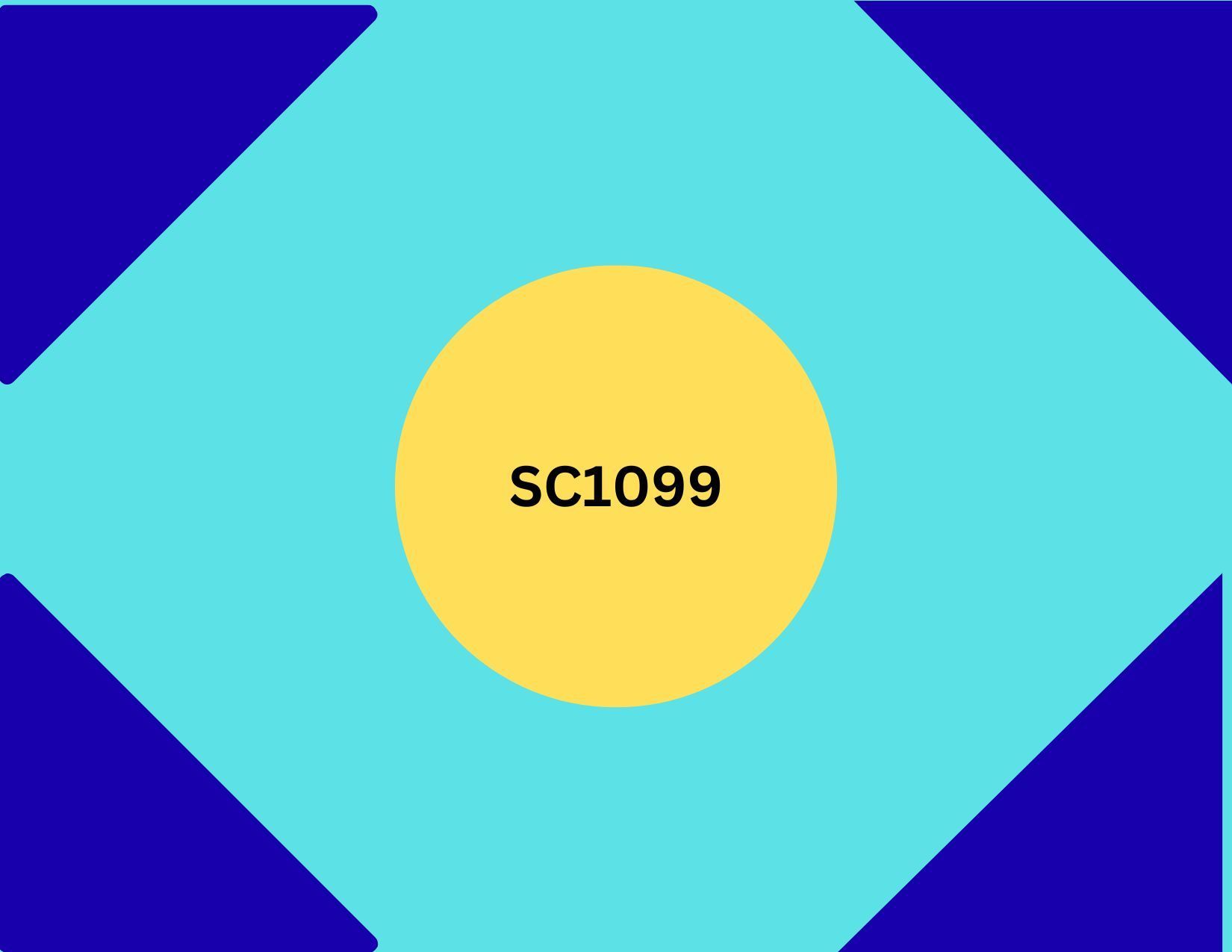 Sketch Challenge 1099 ~ Wednesday, January 28, 2026 - Splitcoaststampers