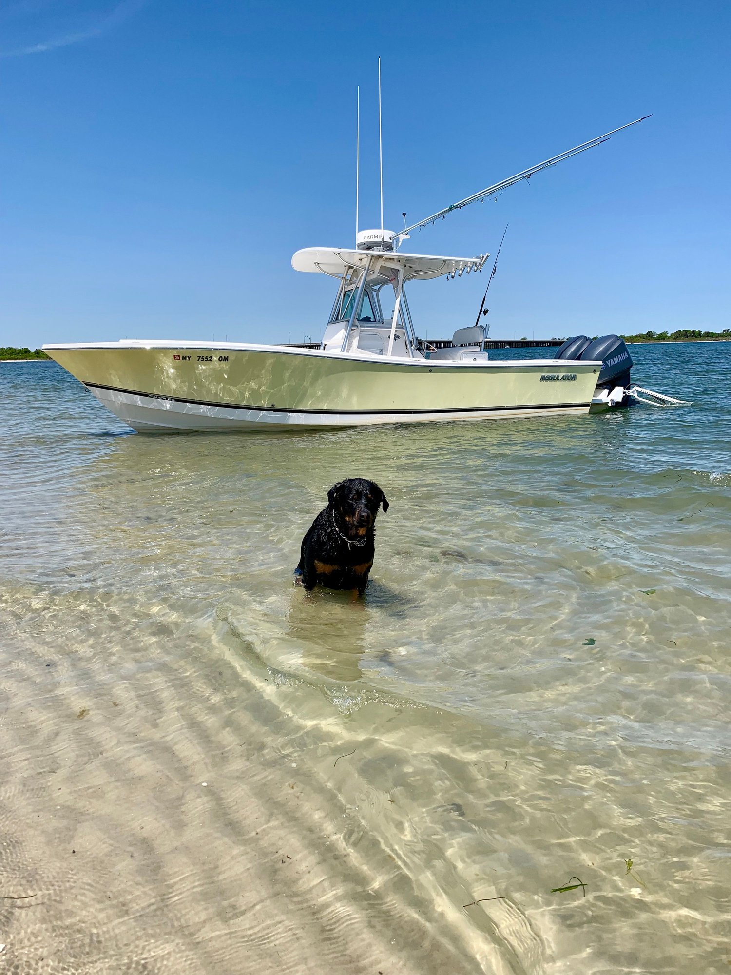 The Hull Truth - Boating and Fishing Forum - 26 Regulator Repower