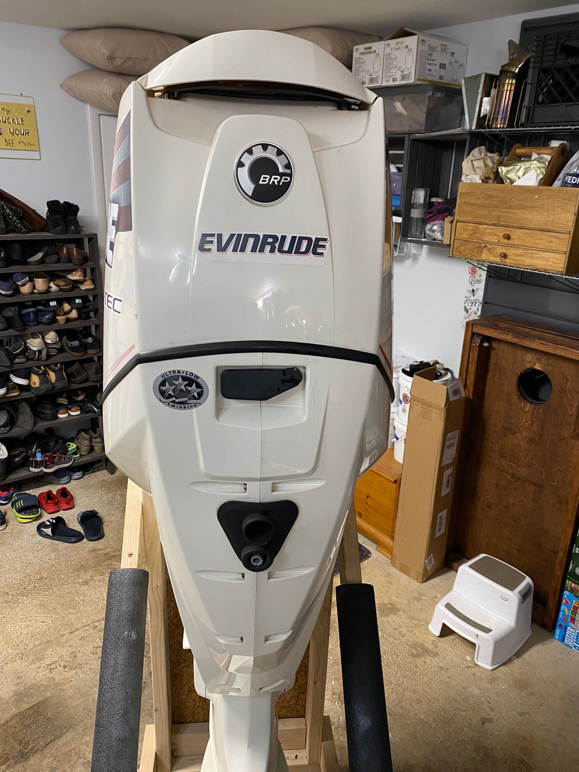 Evinrude Etec