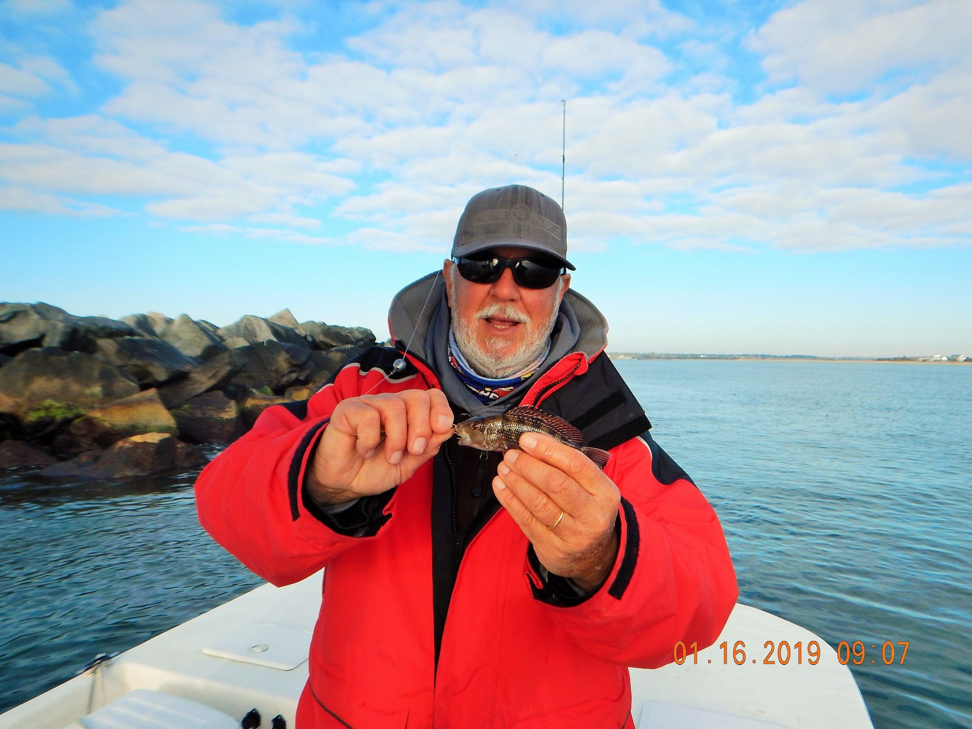 The Hull Truth - Boating and Fishing Forum - January 2019 Report
