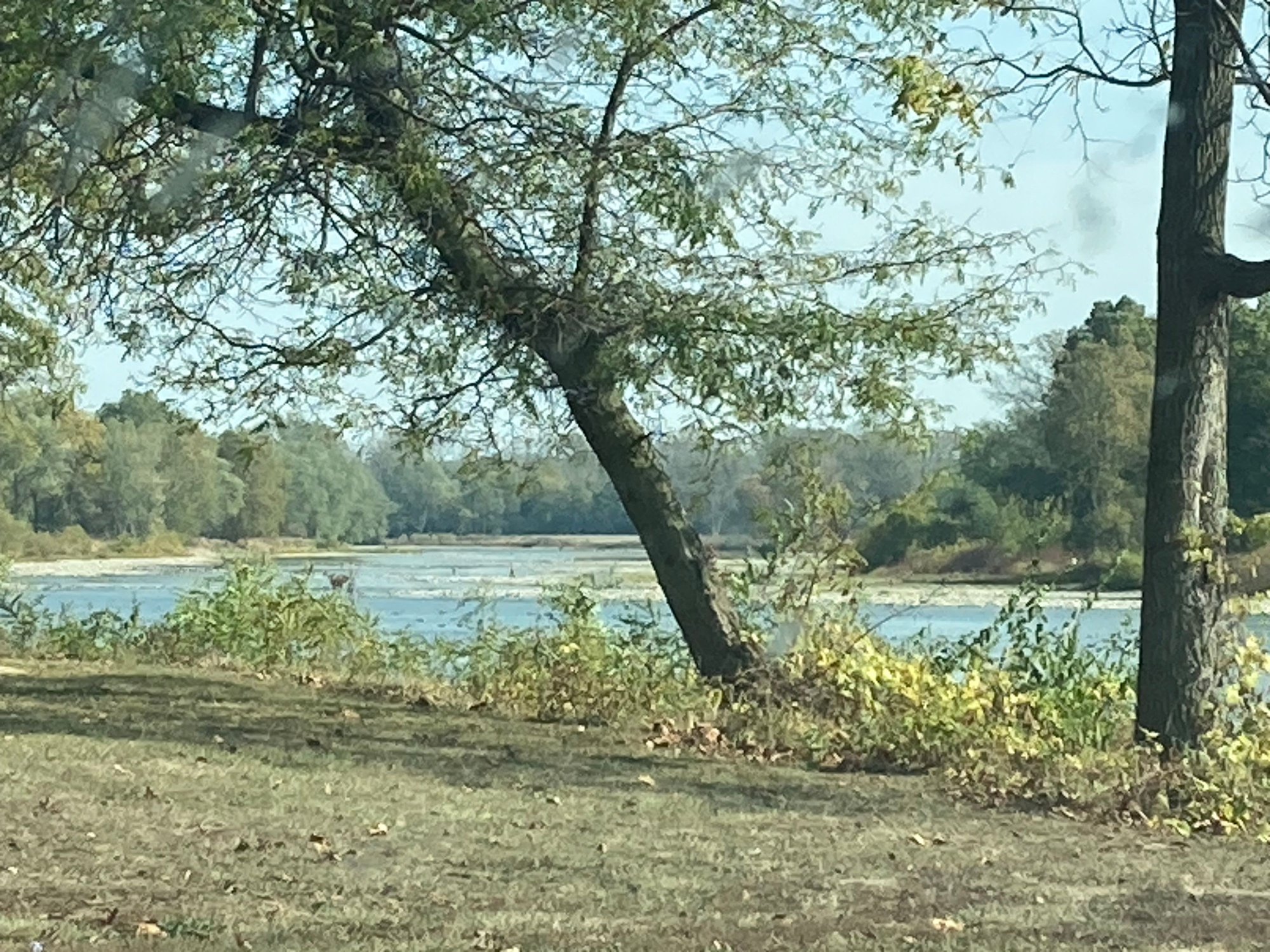 What do I need to buy to add trim/tilt to 40HP Yamaha - The Hull Truth ...