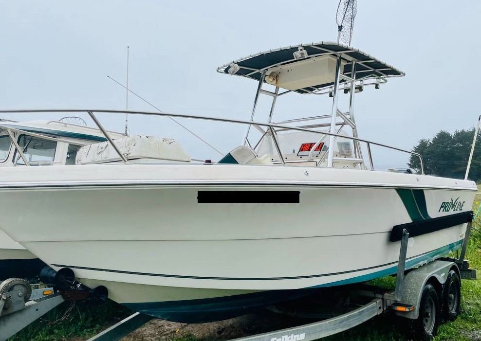 The Hull Truth - Boating and Fishing Forum - 1996 21' Proline