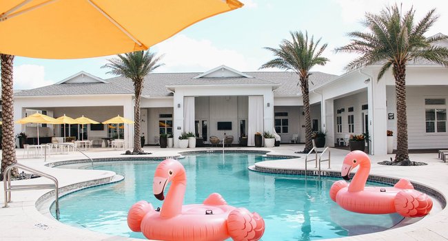 Domain Orlando - 13 Reviews | Kissimmee, FL Apartments for Rent ...