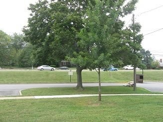 Hillendale Gate Apartments - 45 Reviews | Baltimore, MD Apartments for ...