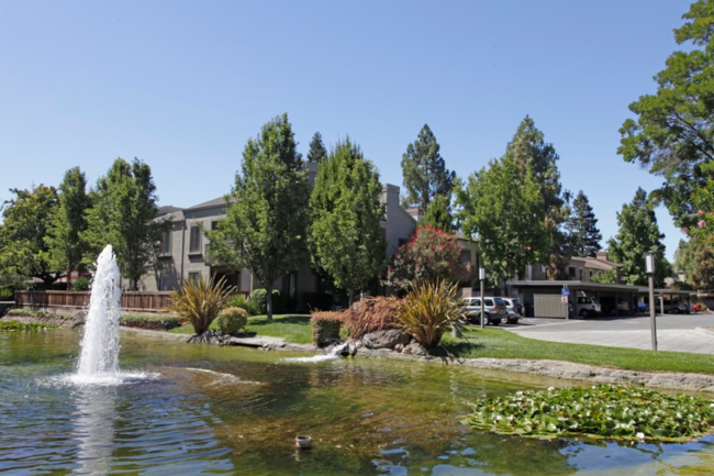 Park Lake at Walnut Creek - 37 Reviews | Walnut Creek, CA Apartments ...